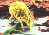 "Jobi Hilfsmittel Management & Medizinprodukte"